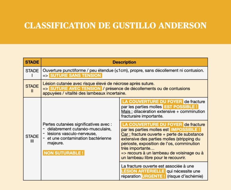 Classification de Gustillo & Anderson - NPEM