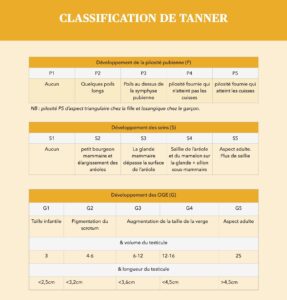 Classification de Tanner - NPEM